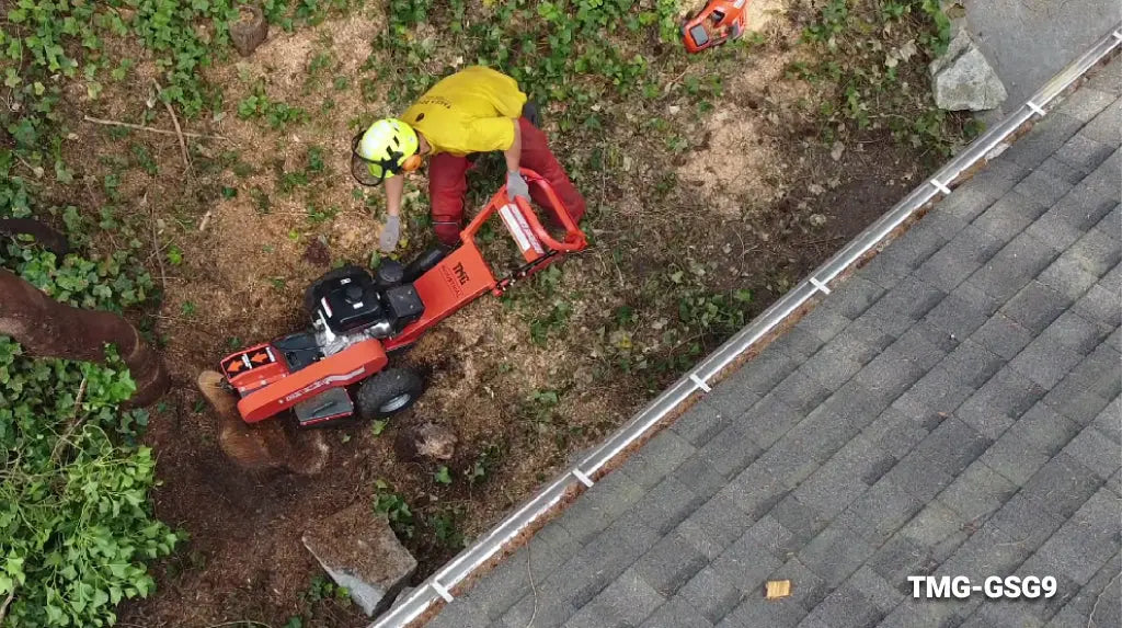 Stump Grinding Made Simple: A Practical Buyer’s Guide - TMG Industrial