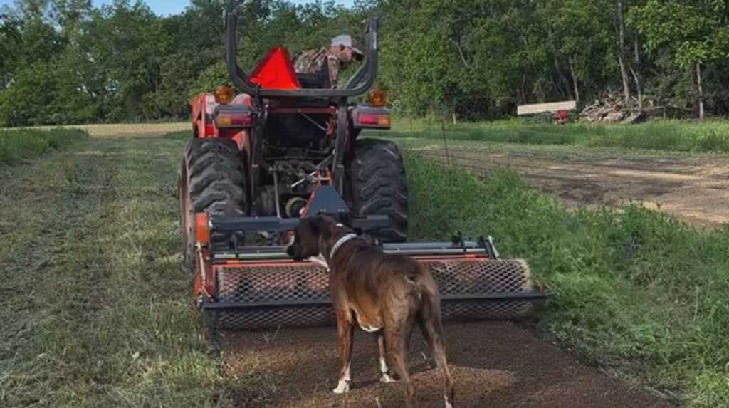 Skid Steer Rotary Attachments: How to Choose the Right One - TMG