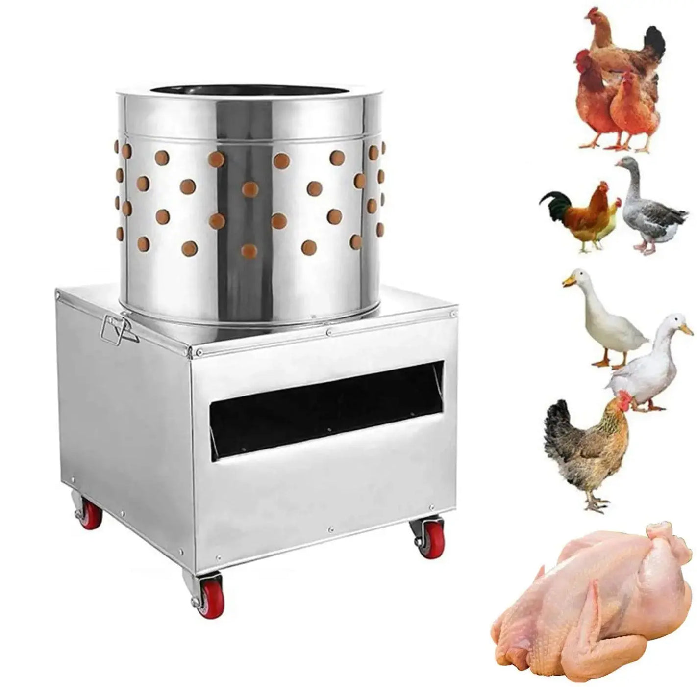 23" Chicken Plucking Machine, Stainless Steel Drum, Caster Wheels, Fea